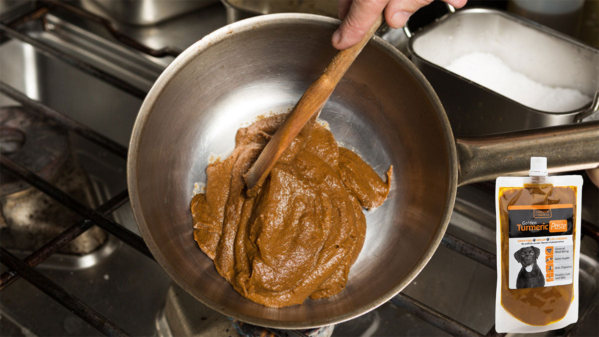 Homemade Dog Treats Recipe | The Golden Paste Company