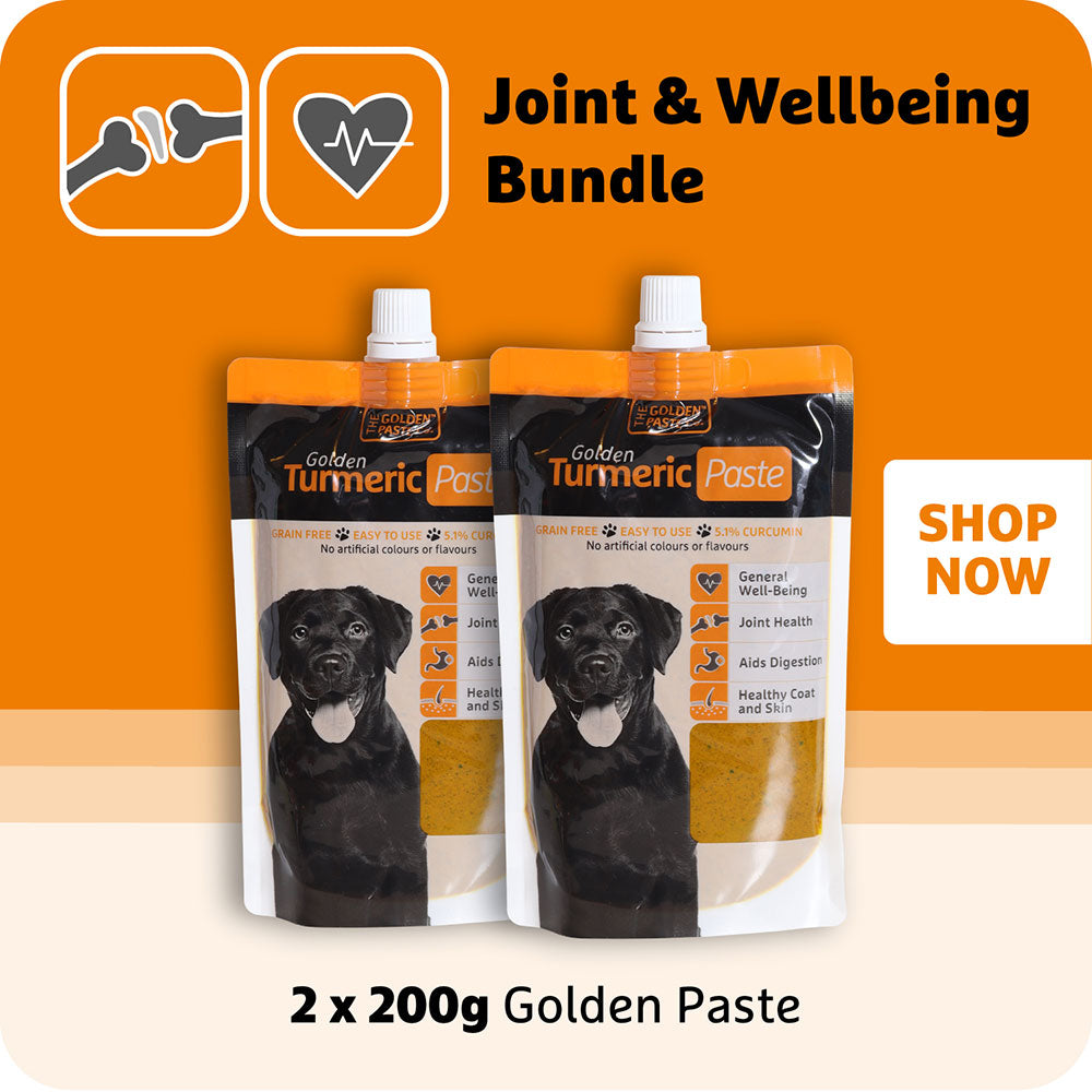 Golden Paste 200g Bundle (x2) – The Golden Paste Company
