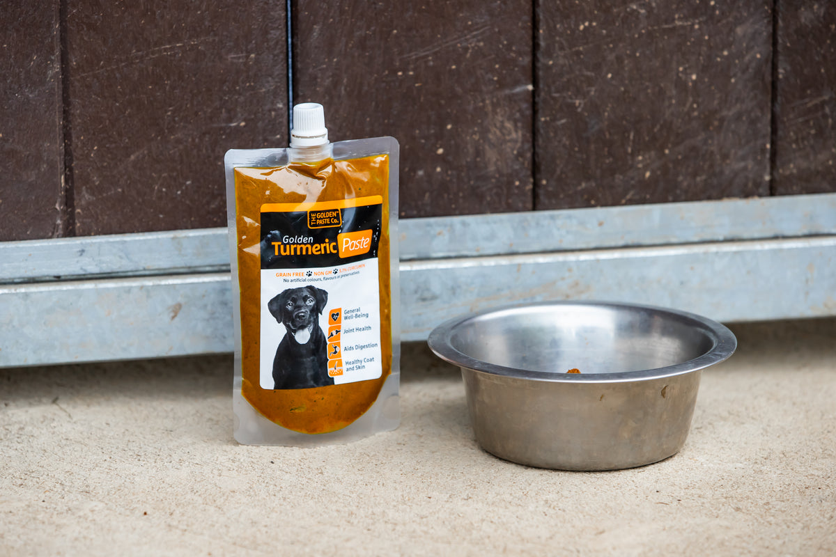 Turmeric Golden Paste for Dogs | The Golden Paste Company