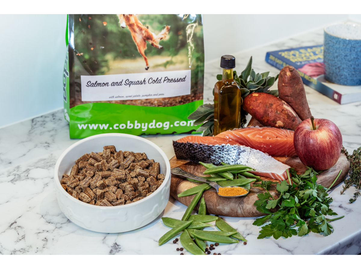 Salmon and Squash - Dog Food – The Golden Paste Company